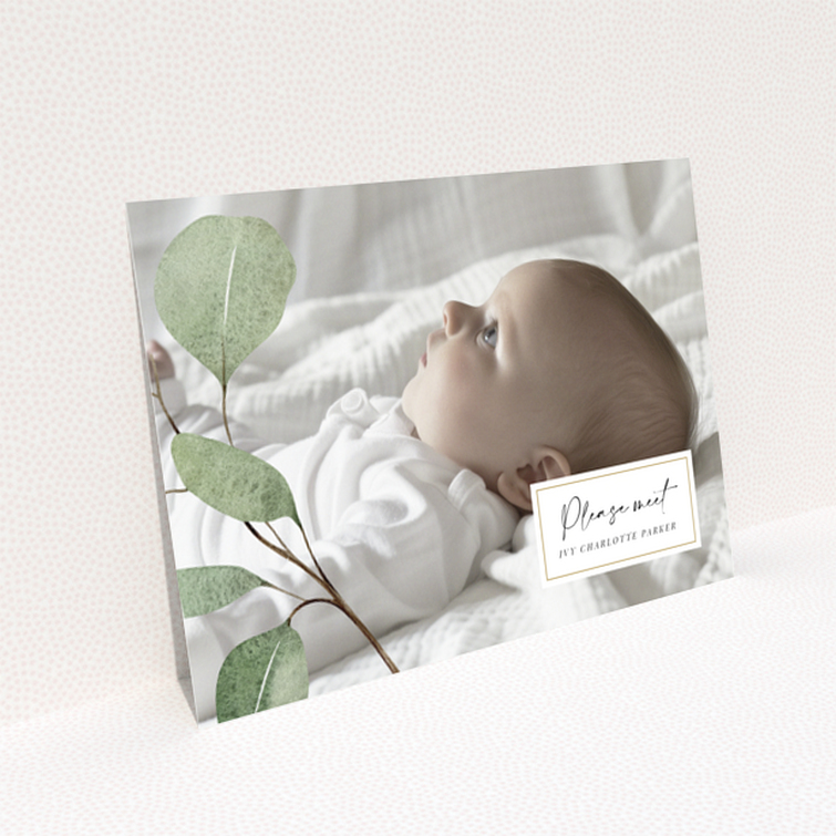 Leafy Introduction in Birth Announcement Cards