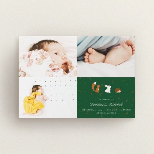 Woodland Chums in Birth Announcement Cards